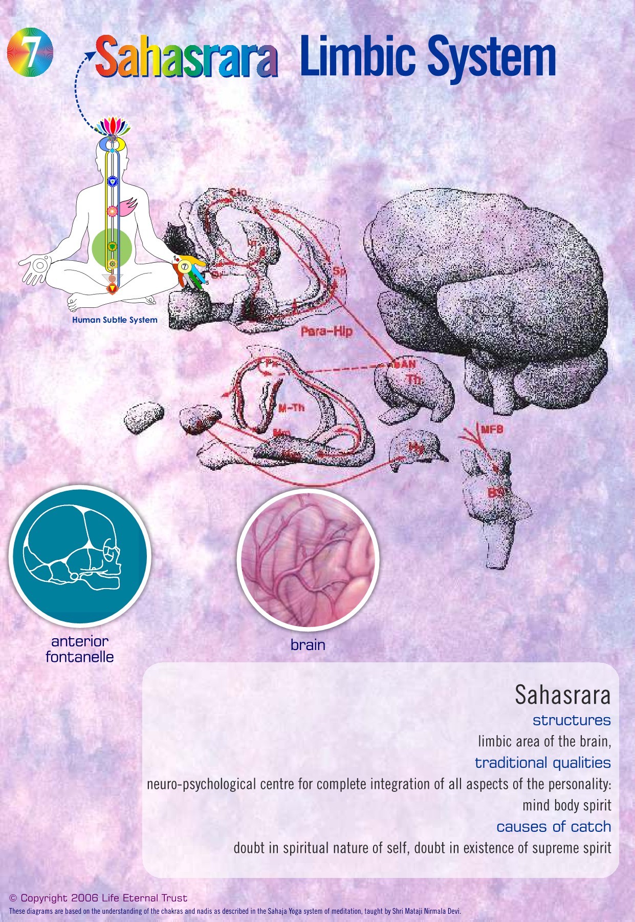 The Sahasrara Chakra (Integration) – Sahaja Yoga Science